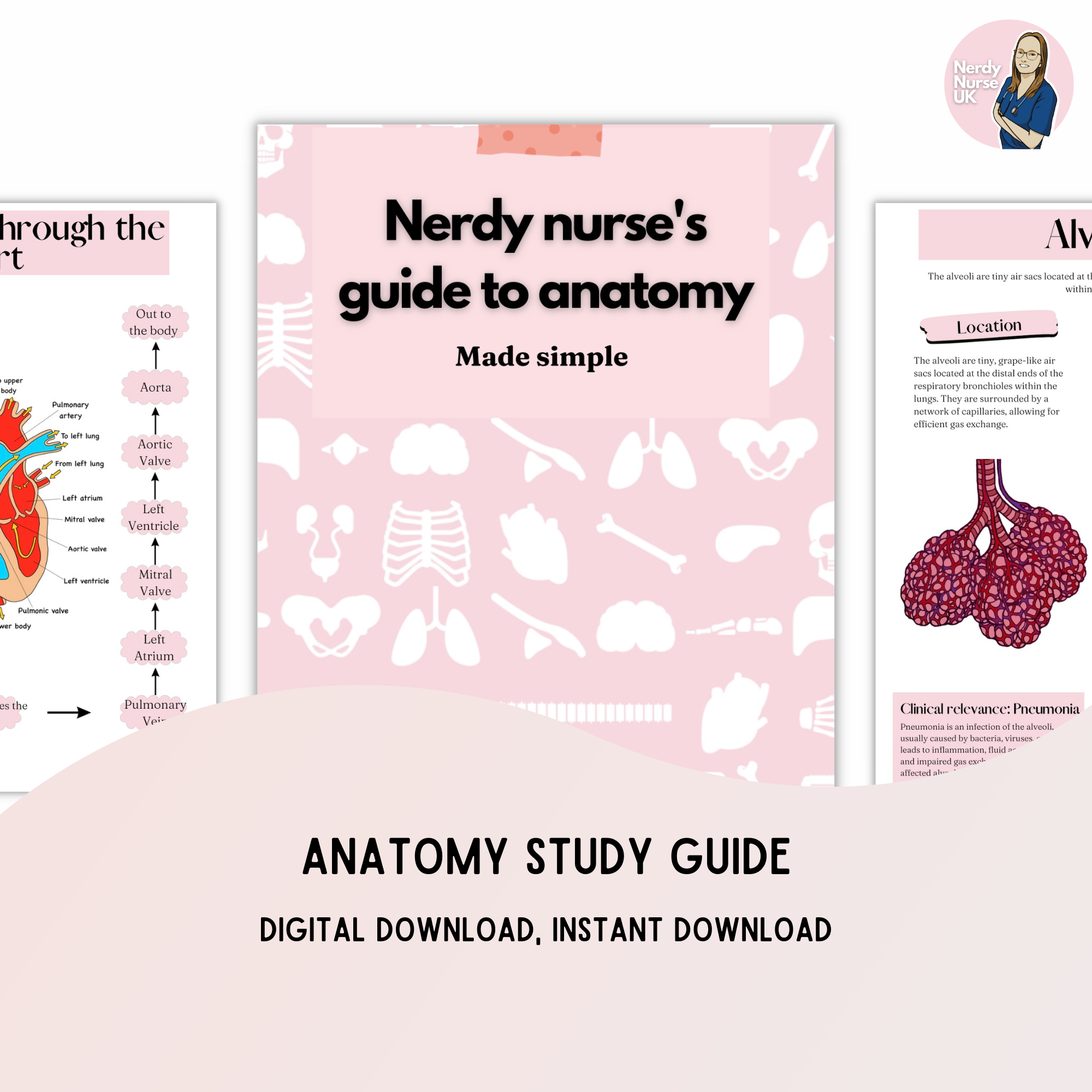 Anatomy Ebook (digital download) – Nerdynurseuk trading name of ...